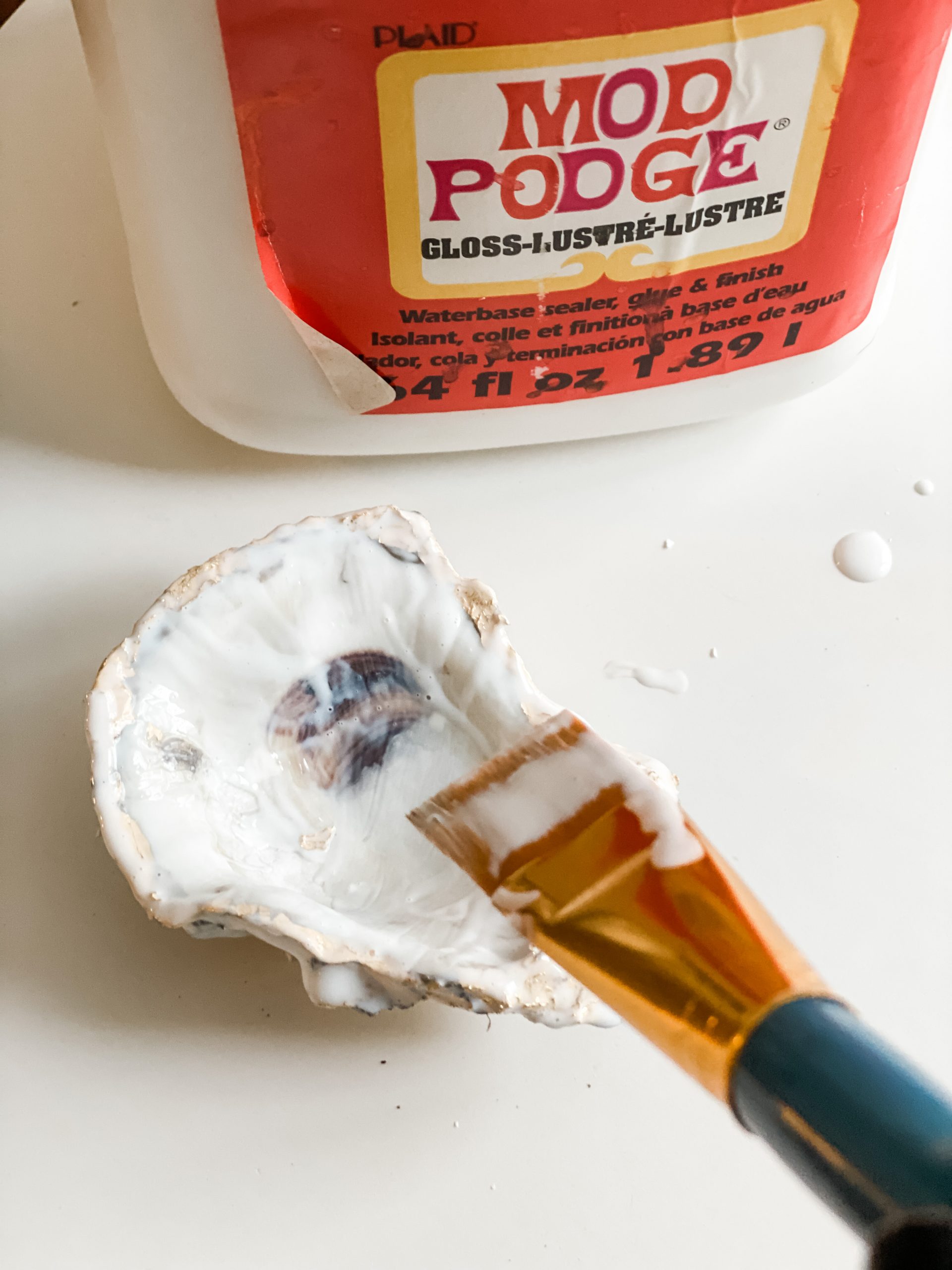 2 Ways to Create Art from Oyster Shells | by Alexandra Nicole Nolan
