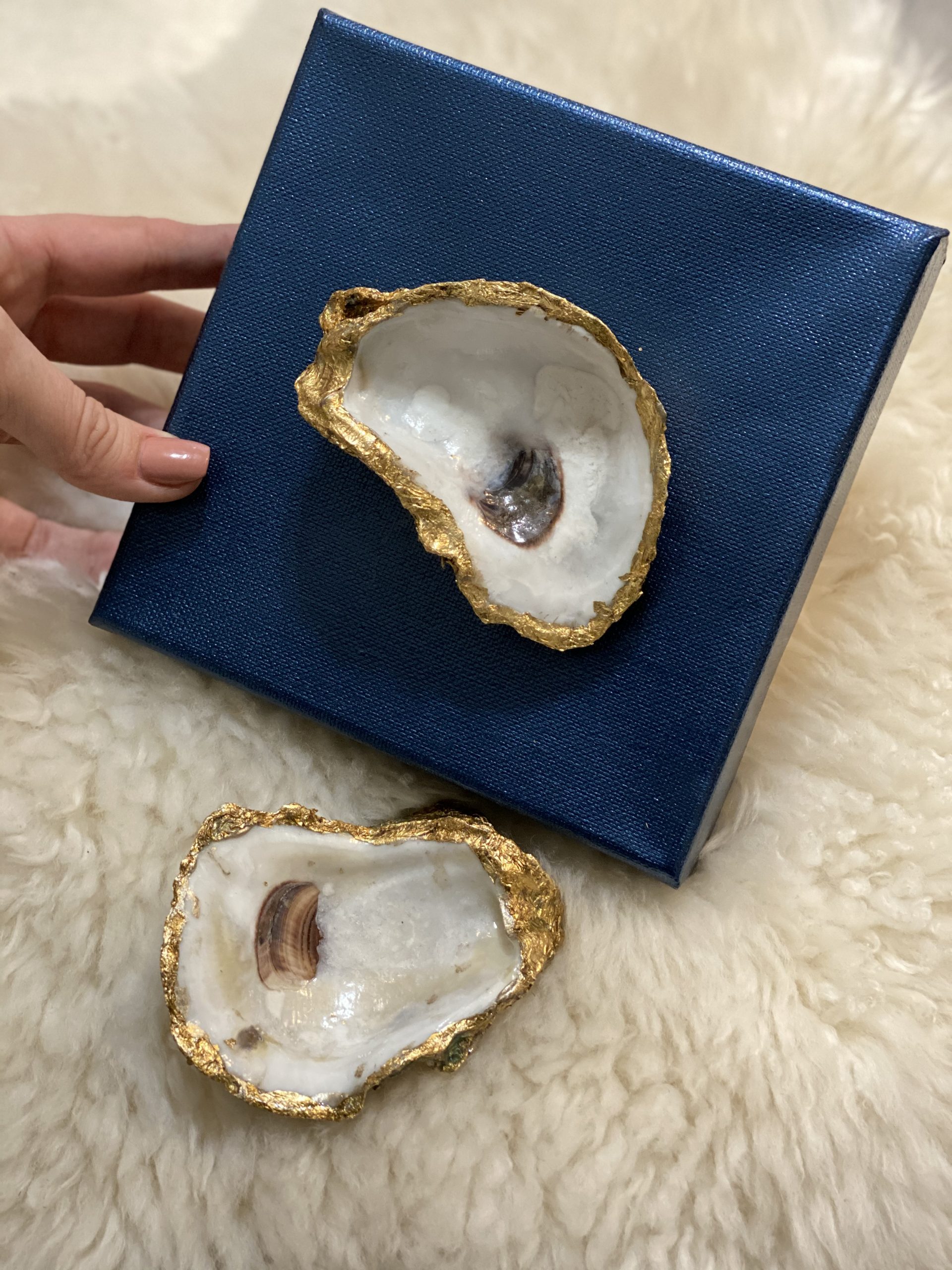 2 Ways to Create Art from Oyster Shells | by Alexandra Nicole Nolan
