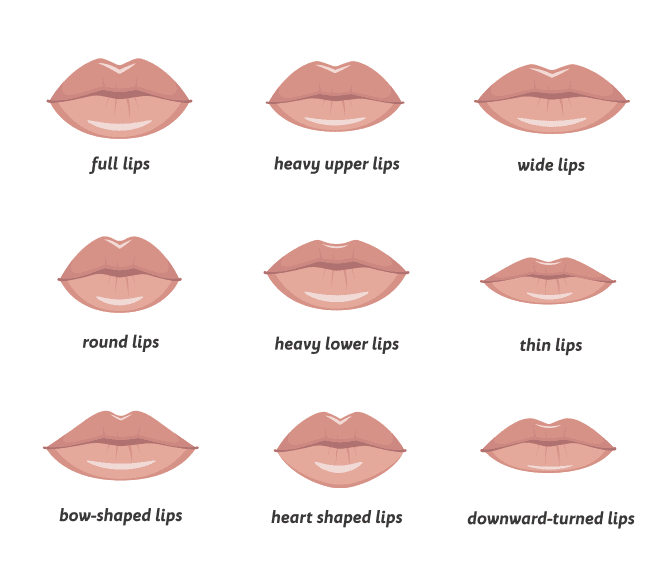 Lip Style | Tips for Aesthetic Lips – City Chic Living | Alexandra ...